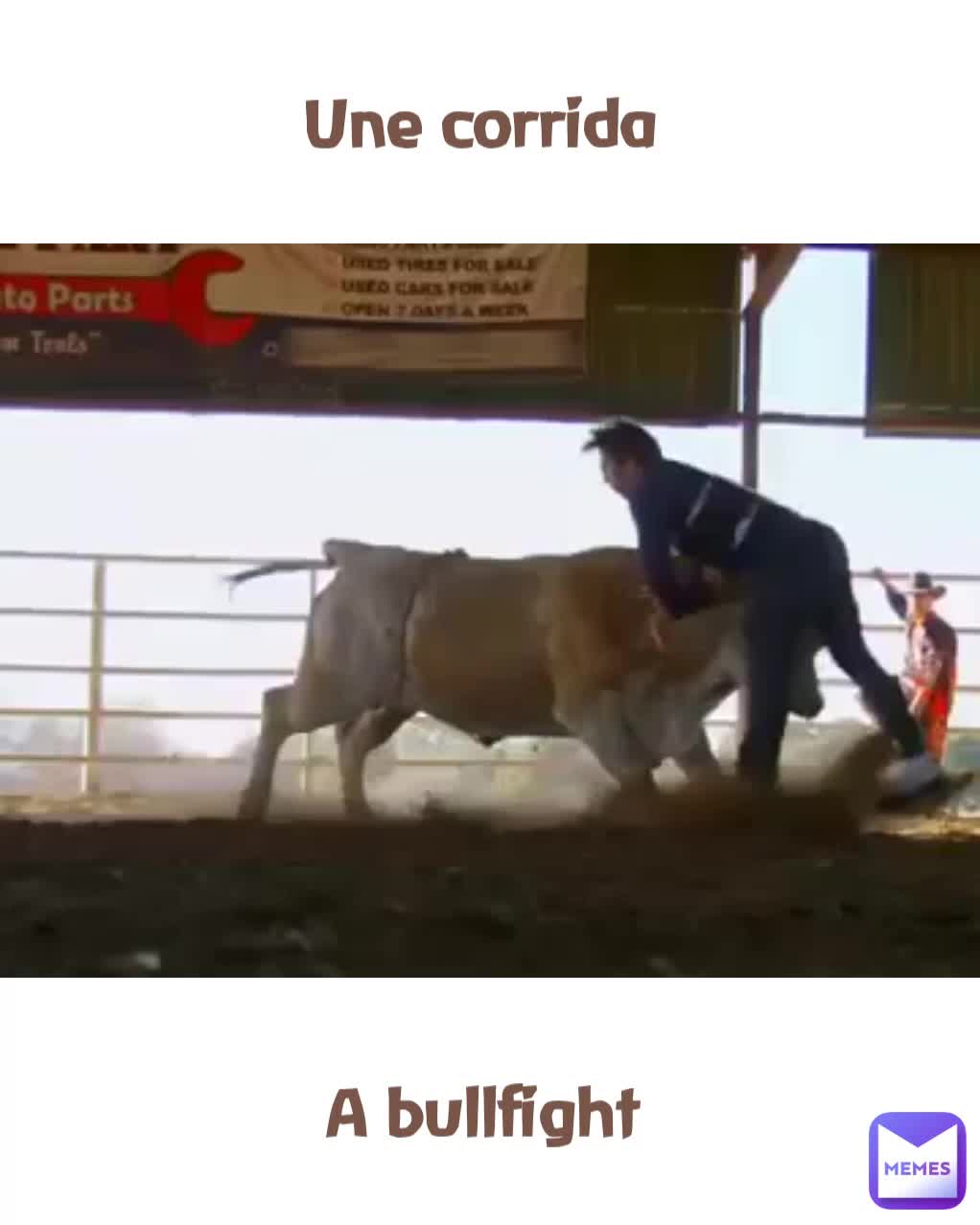 A bullfight Une corrida | @MissieGee | Memes