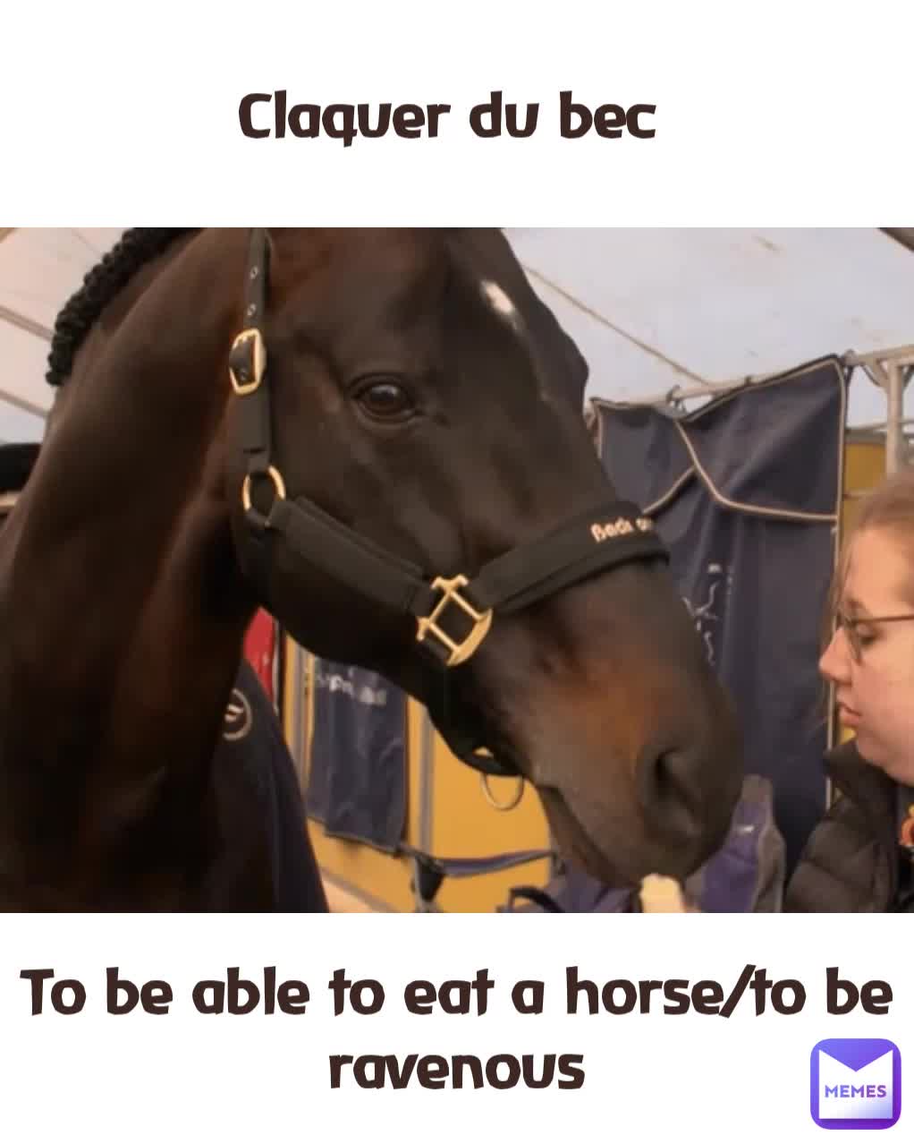 Claquer du bec To be able to eat a horse/to be ravenous | @MissieGee ...