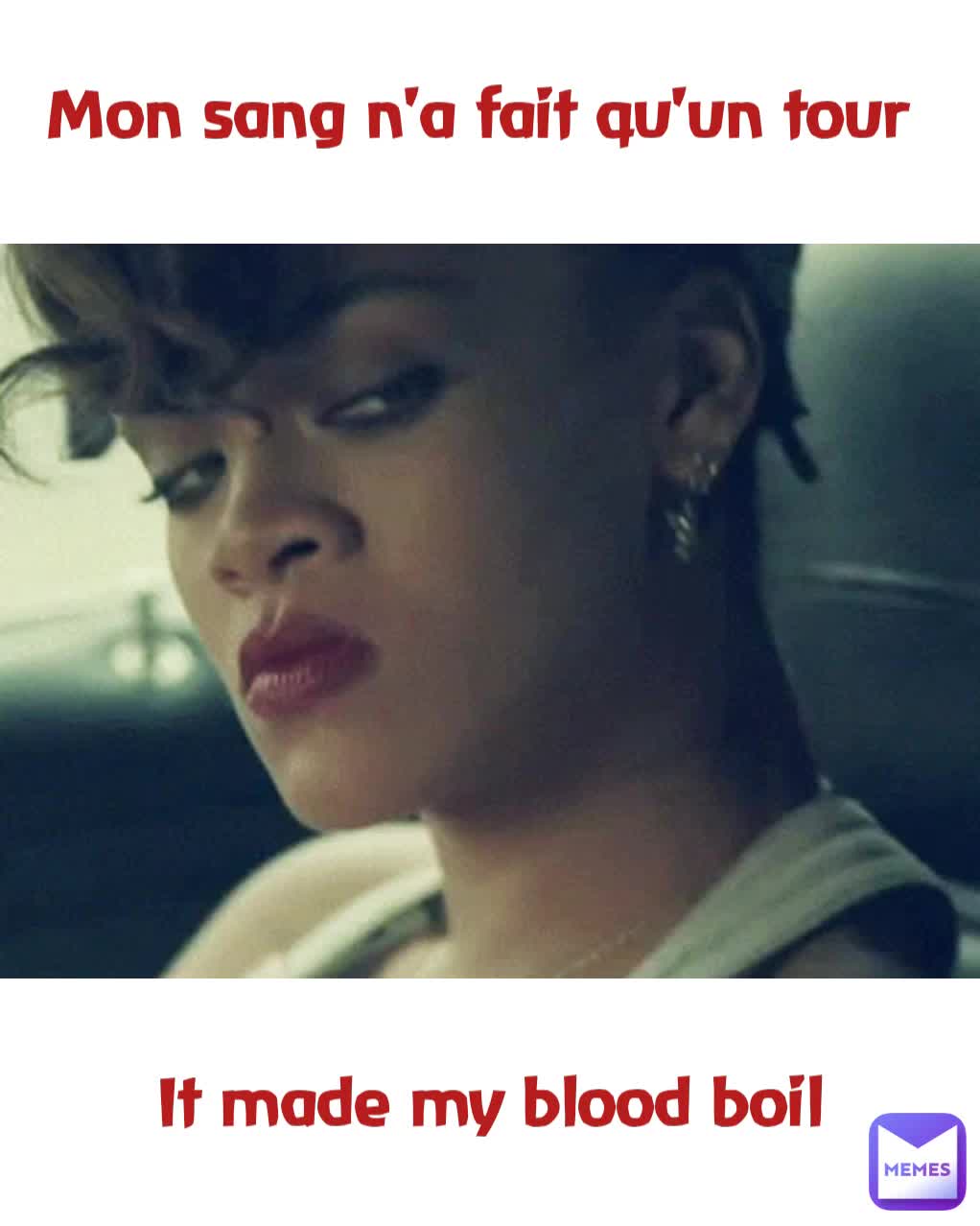 It made my blood boil Mon sang n'a fait qu'un tour | @MissieGee | Memes