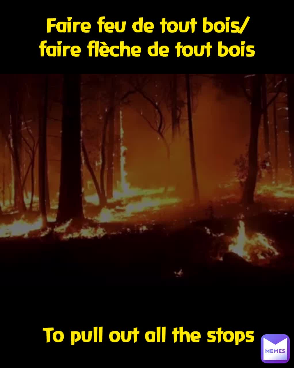 Faire feu de tout bois/ faire flèche de tout bois To pull out all the ...