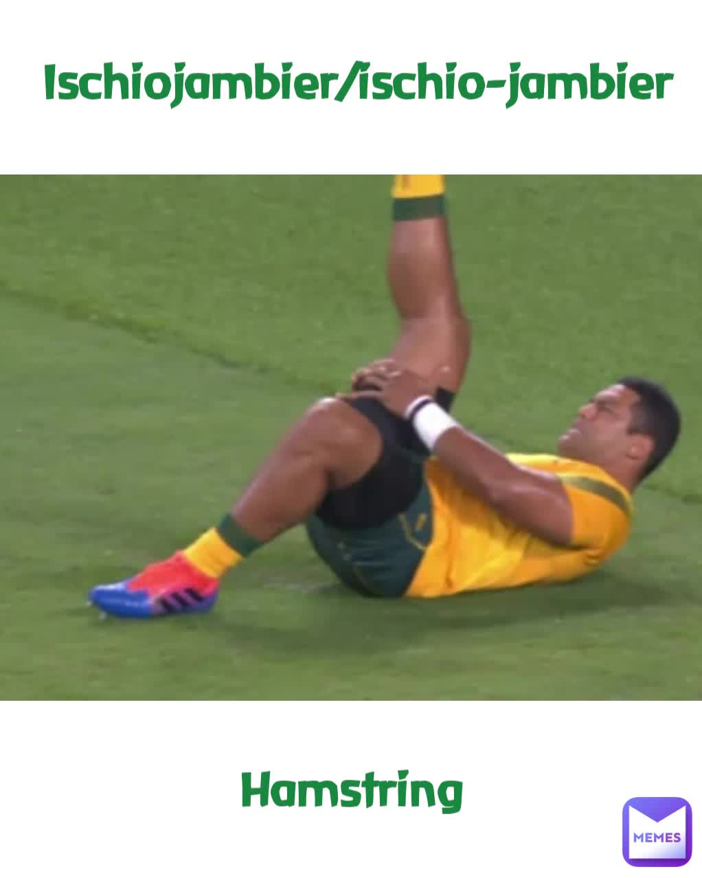 Hamstring Ischiojambier/ischio-jambier | @MissieGee | Memes