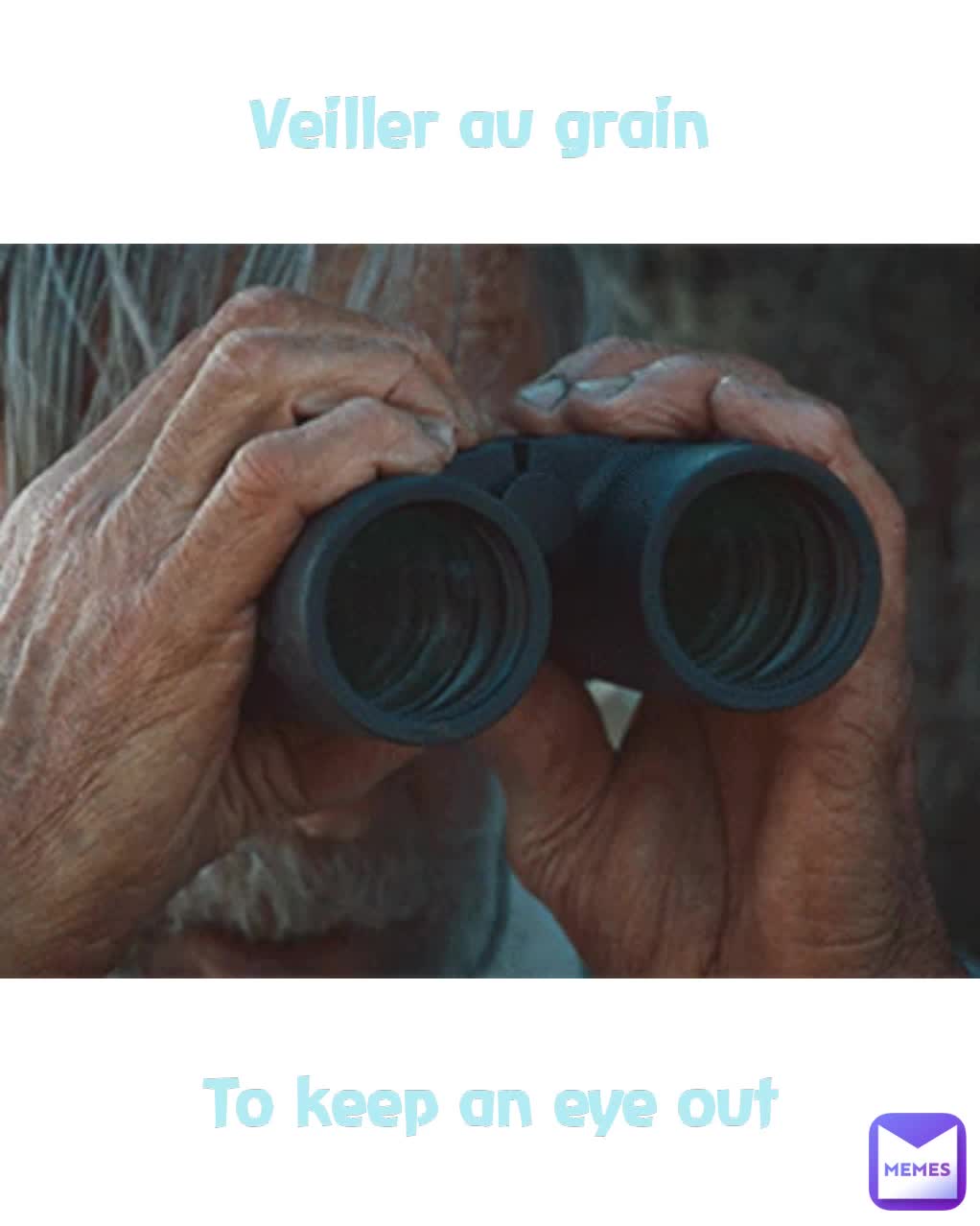 To keep an eye out Veiller au grain | @MissieGee | Memes
