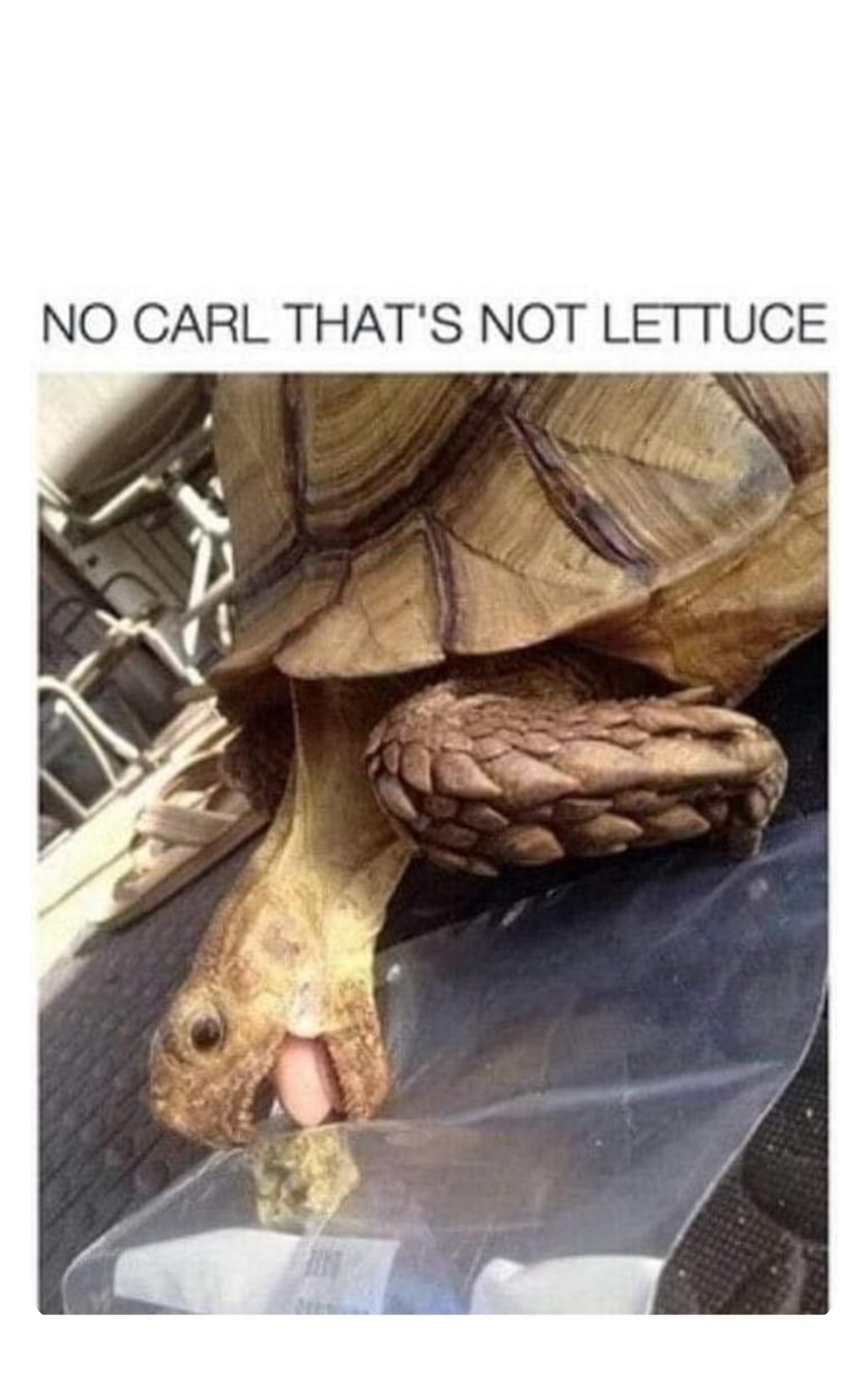 Double tap to edit | @romi.The.Power | Memes