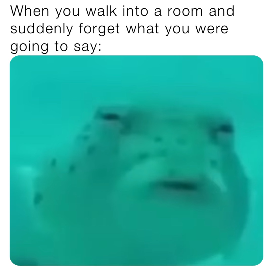 When you walk into a room and suddenly forget what you were going to ...