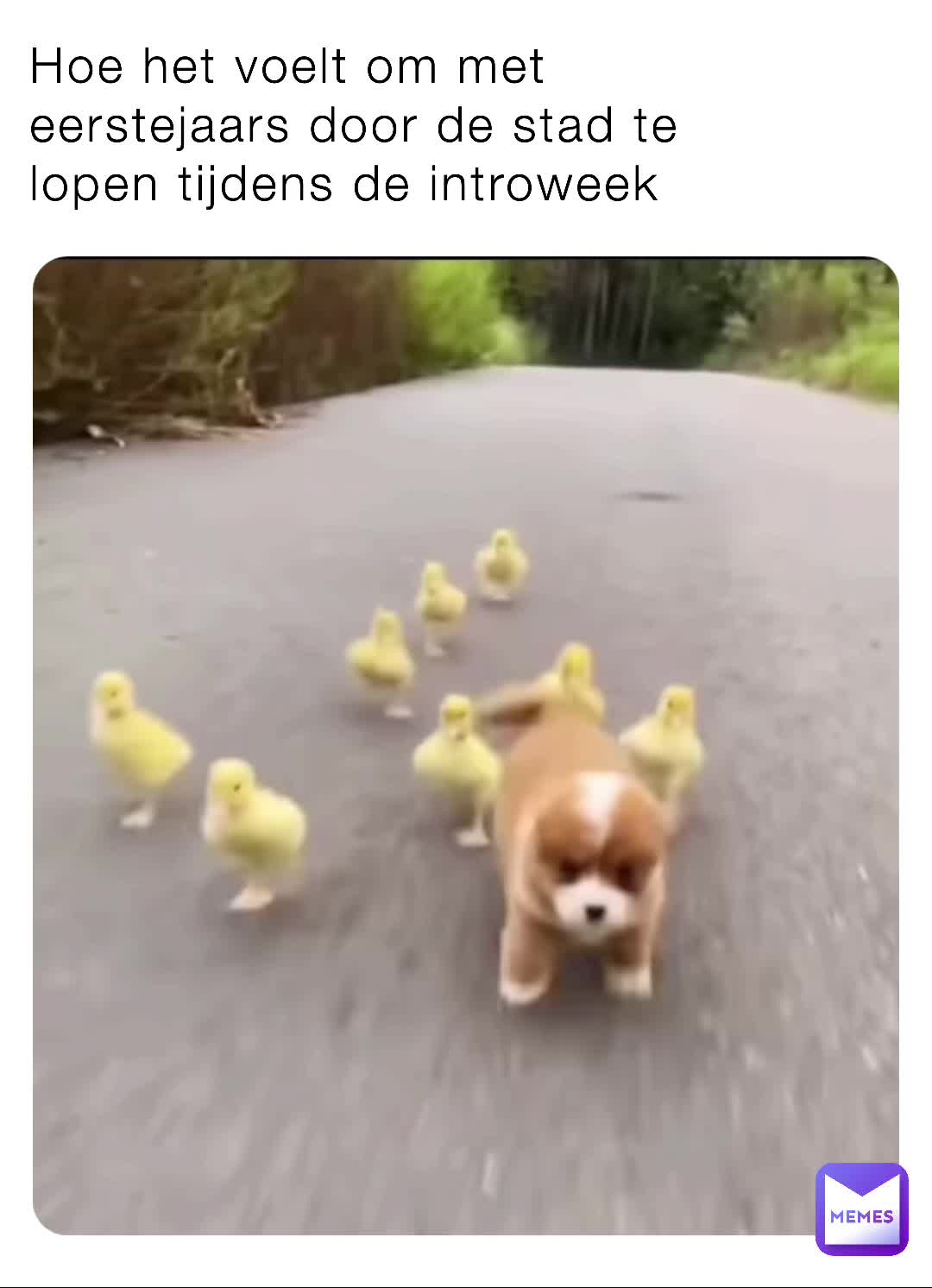 Hoe het voelt om met eerstejaars door de stad te lopen tijdens de ...