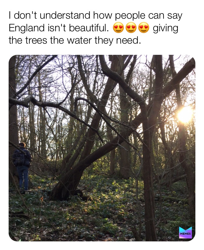 Post by @mrckeeling | Memes