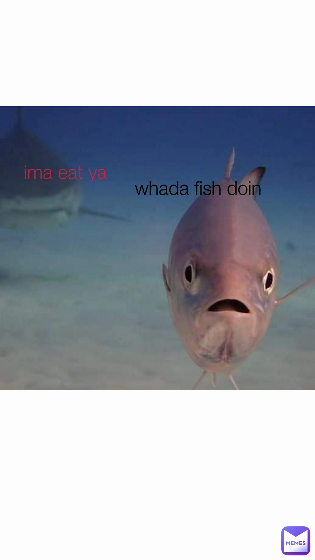 ima eat ya whada fish doin | @goodbyebye | Memes