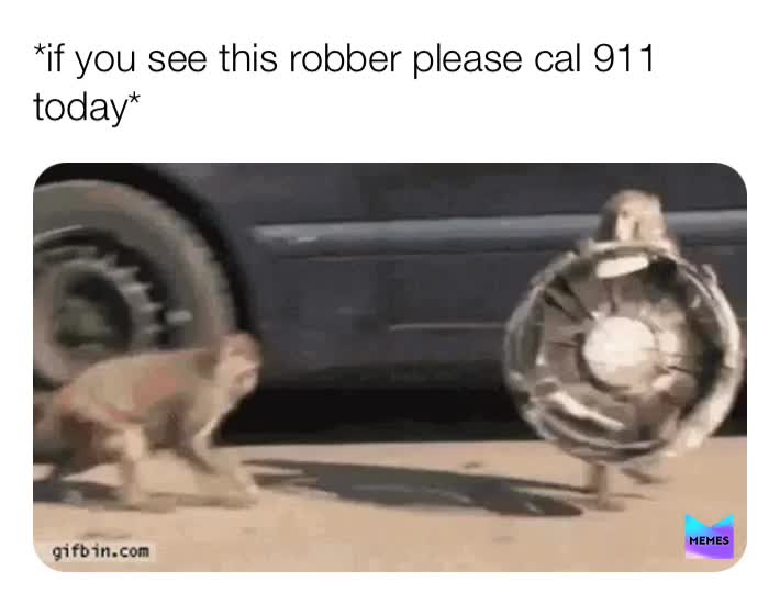 Post by @fart_master | Memes