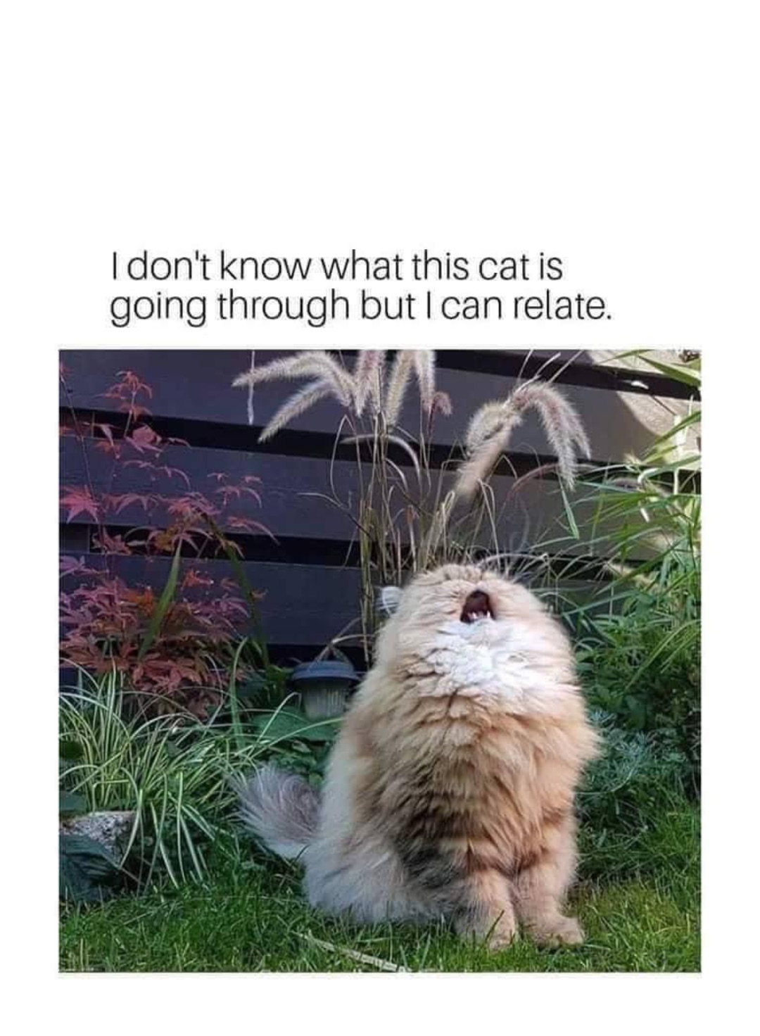 Double tap to edit | @Soviet_Russia_Pikachu.. | Memes