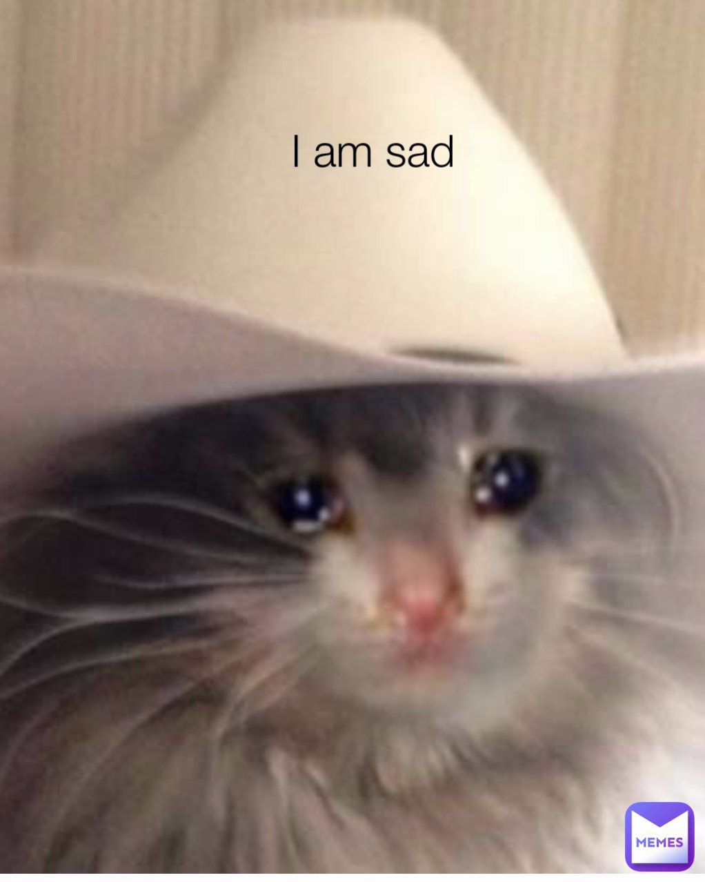 I am sad Type Text I am sad | @Alek021 | Memes