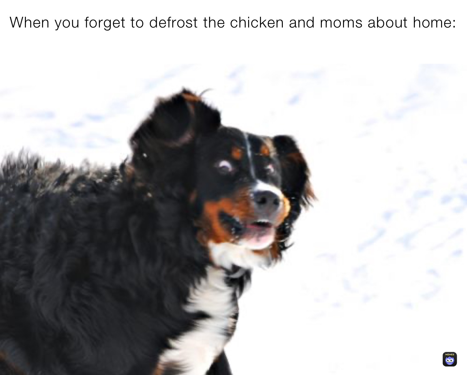 When you forget to defrost the chicken and moms about home ...