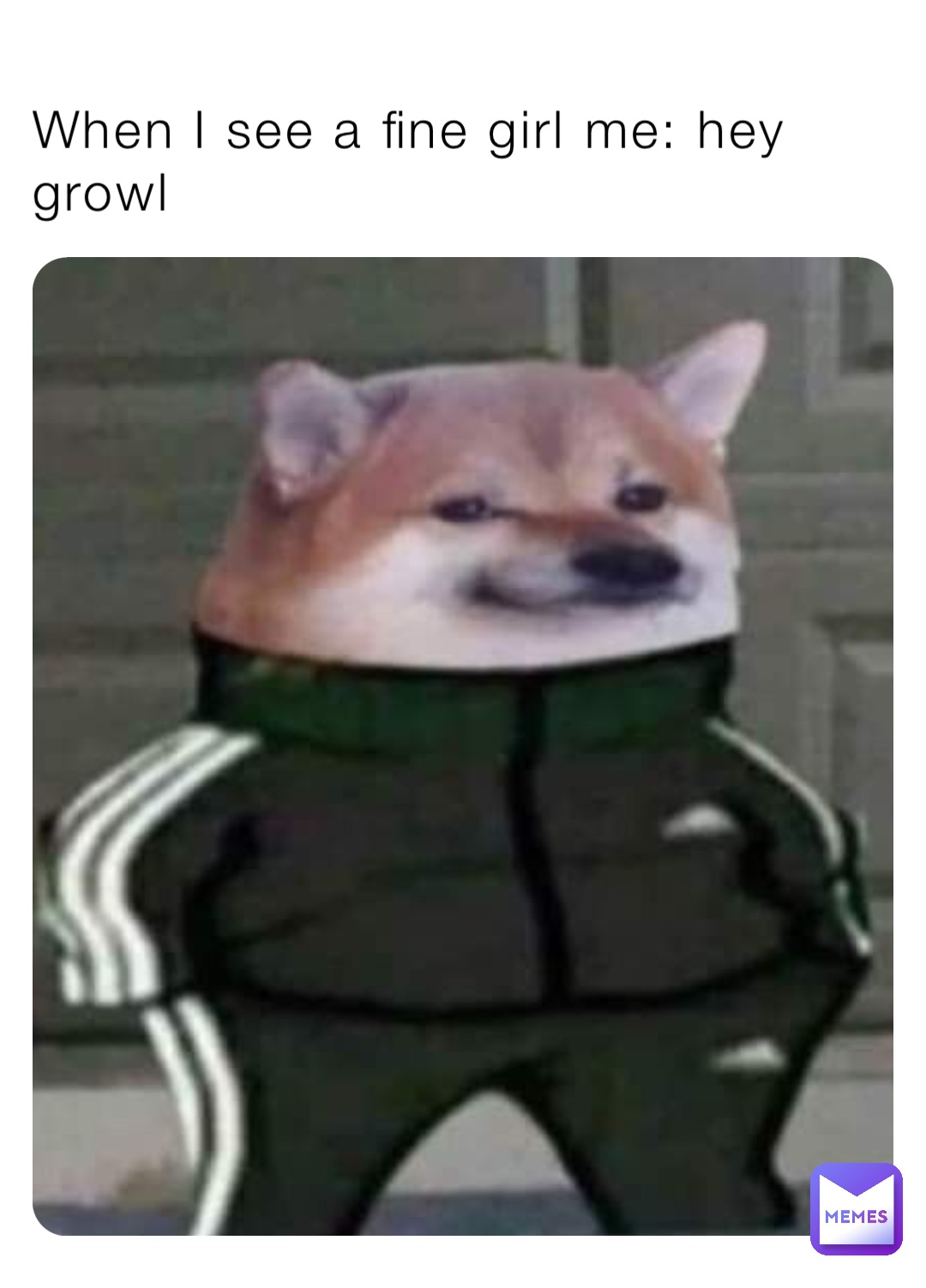Fine Lady Memes