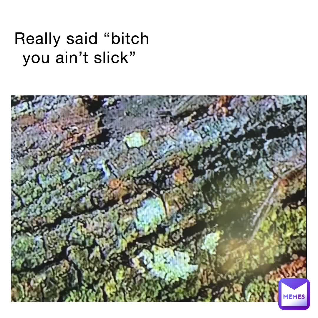 Really said “Bitch you ain’t slick” | @funny.bish2937 | Memes
