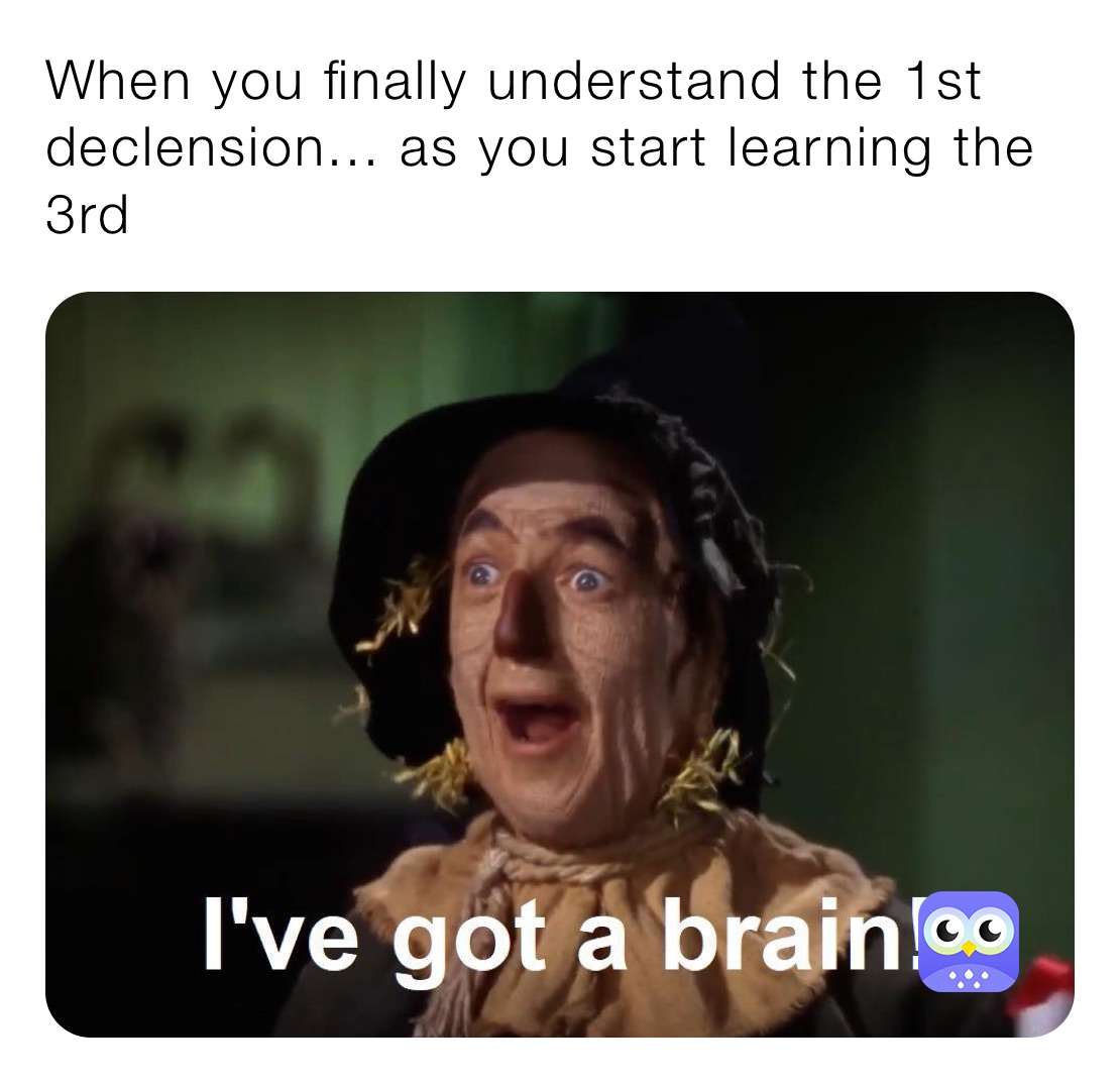 When you finally understand the 1st declension... as you start learning ...
