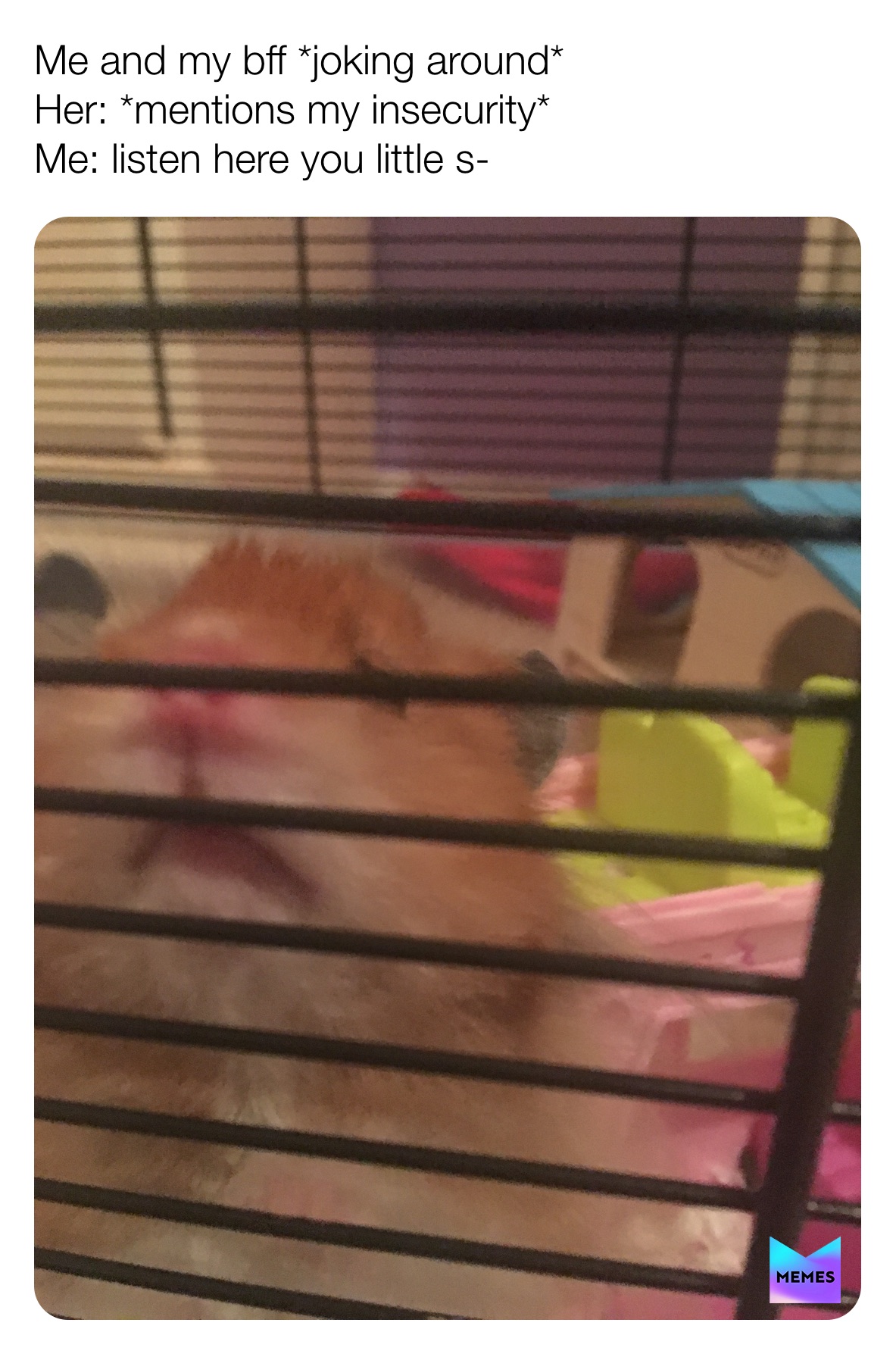 Post by @some_hamster_memes | Memes