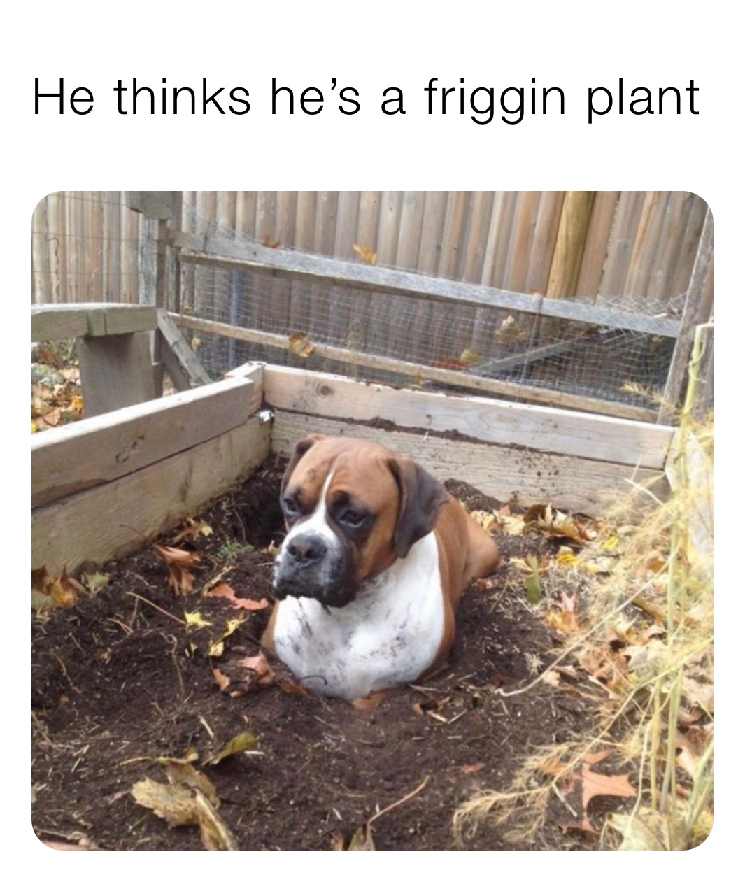 Post by @funny | Memes