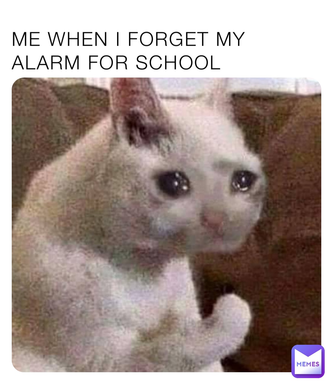 Cat Alarm Memes ME WHEN I FORGET MY ALARM FOR SCHOOL