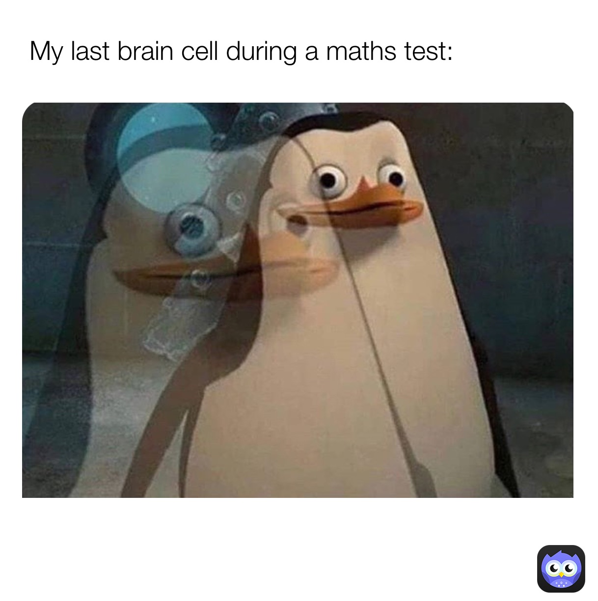 Post by @Reddit_Memer | Memes