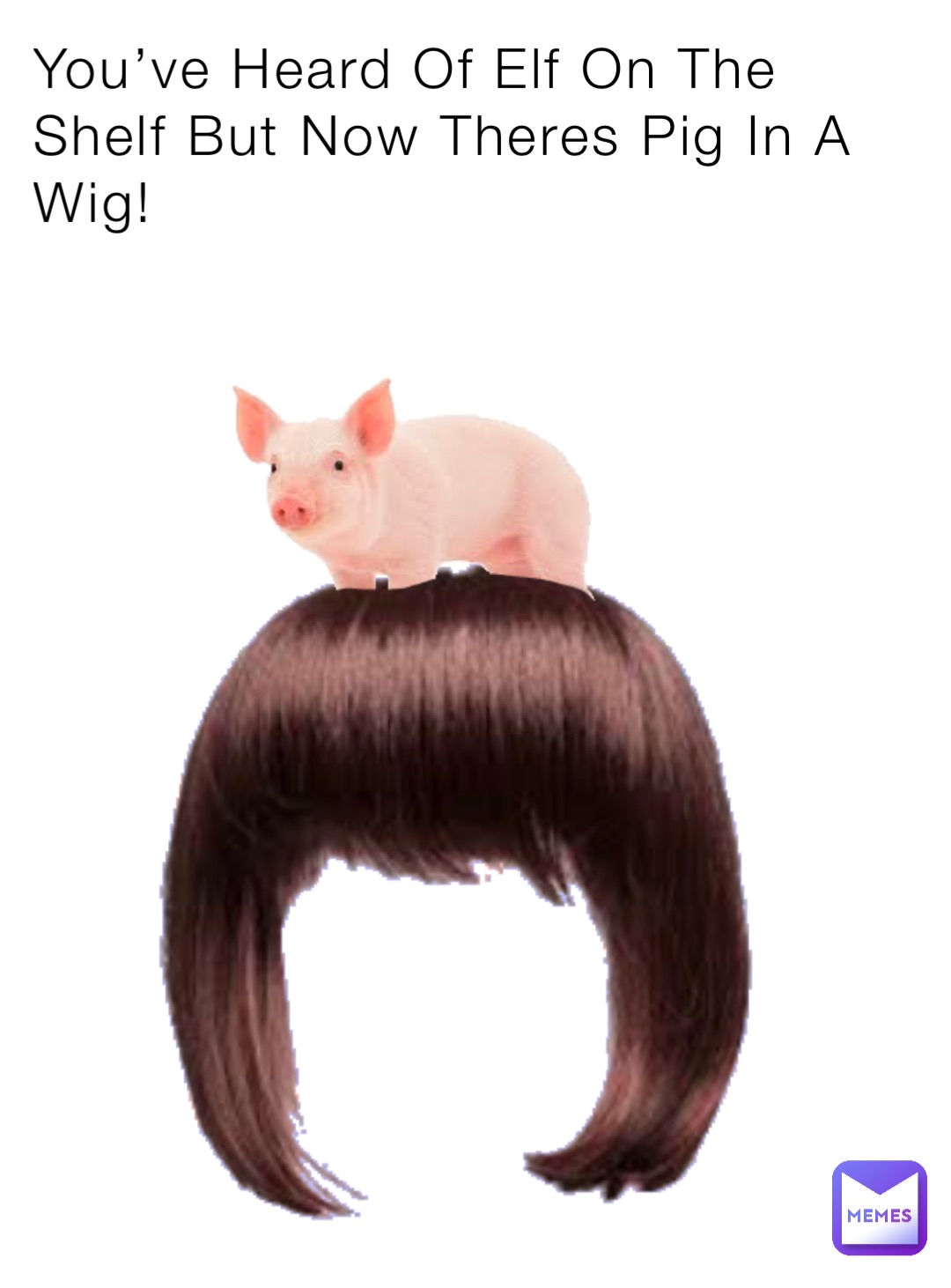 You’ve Heard Of Elf On The Shelf But Now Theres Pig In A Wig ...