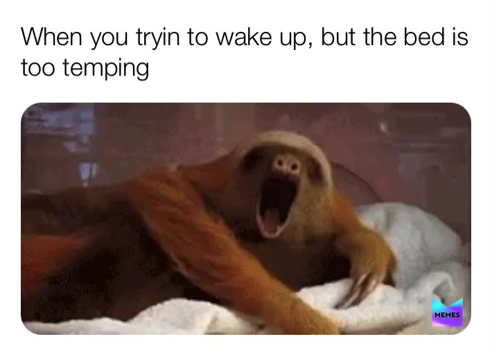 Post by @rithmatist_guy | Memes