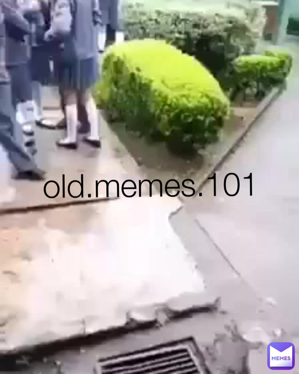 old.memes.101 | @old.memes.101 | Memes