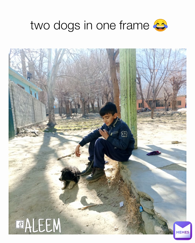 two dogs in one frame 😂 | @aleem.masyang | Memes