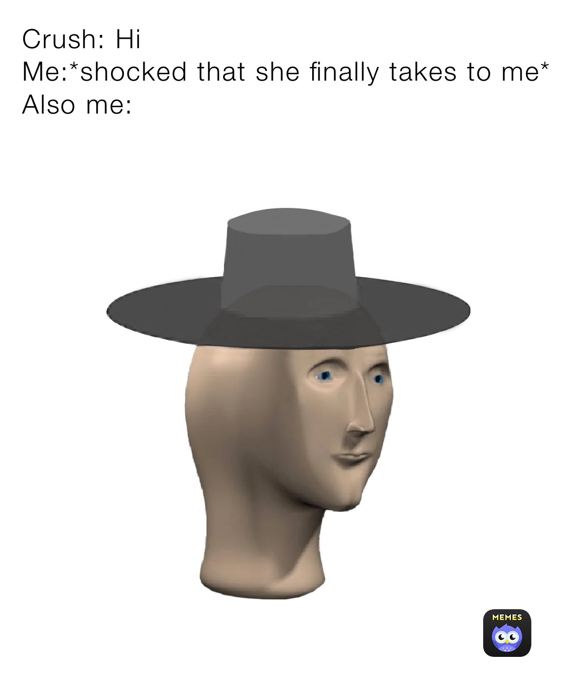 Crush: Hi Me:*shocked that she finally takes to me* Also me ...