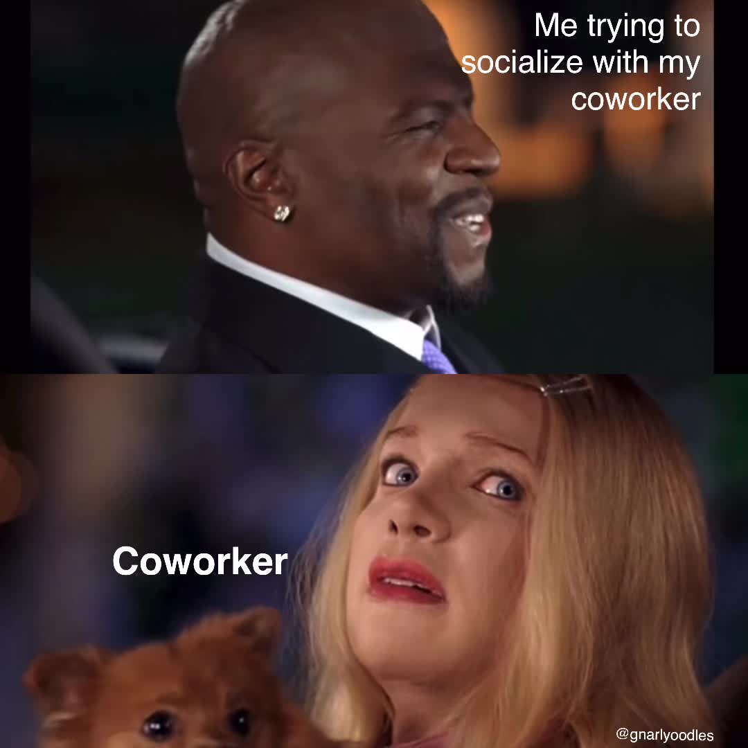 Me trying to socialize with my coworker Coworker Socializing with your ...