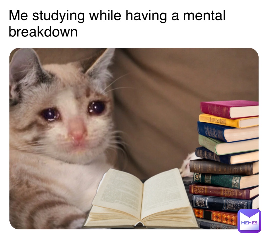 Me studying while having a mental breakdown | @jas.jas | Memes