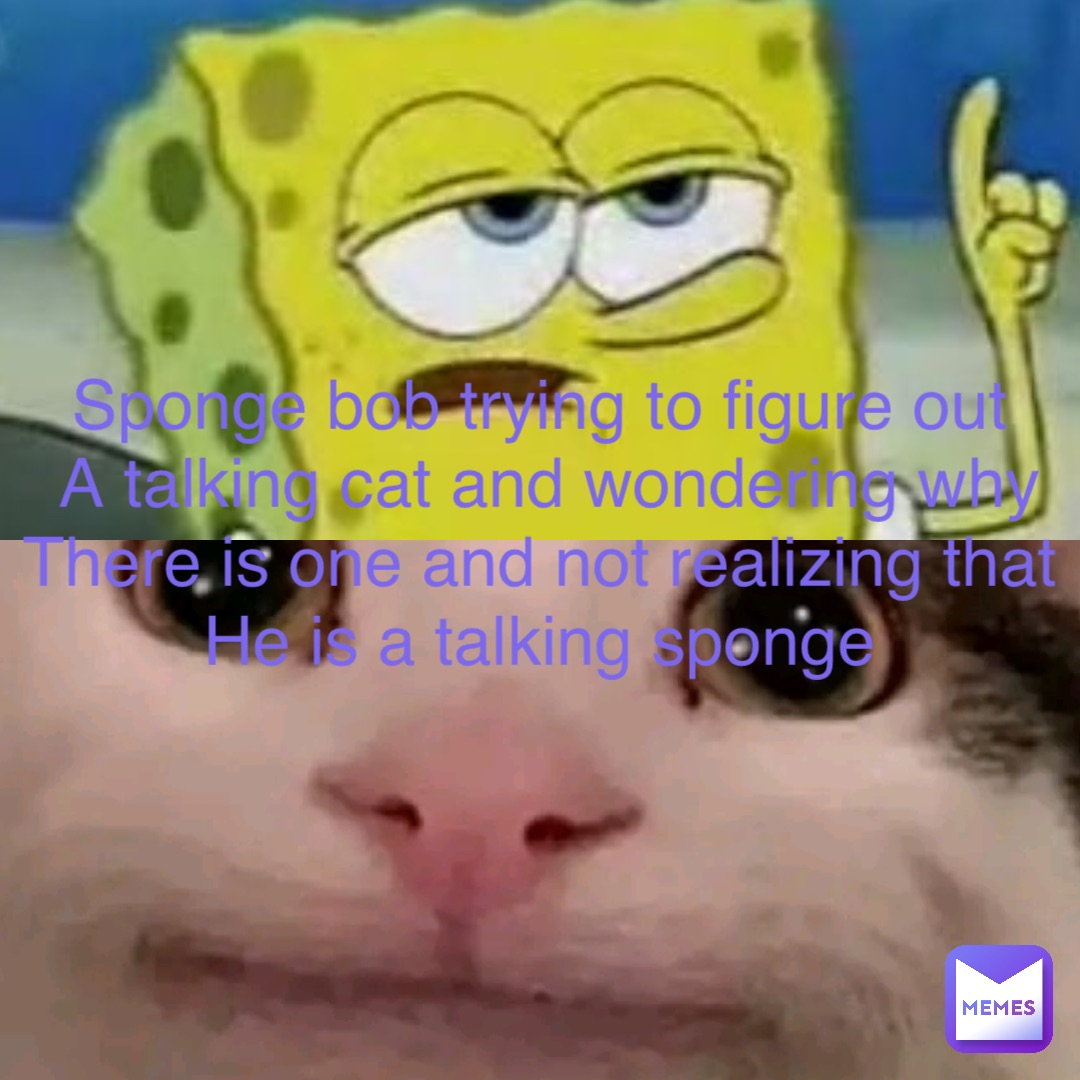 Sponge bob trying to figure out A talking cat and wondering why There ...