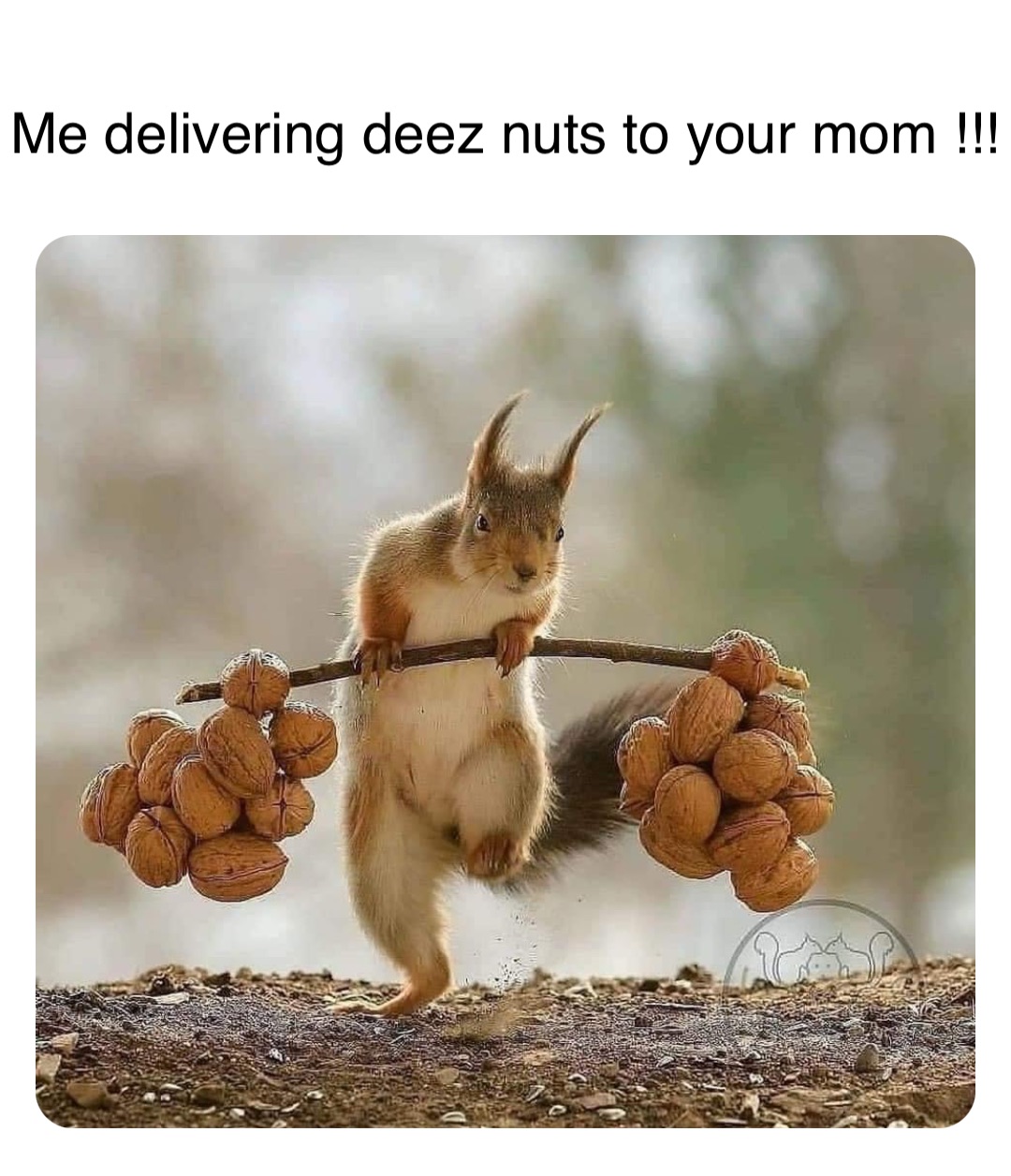 Double tap to edit Me delivering deez nuts to your mom !!! | @FallingGorillakid13 | Memes