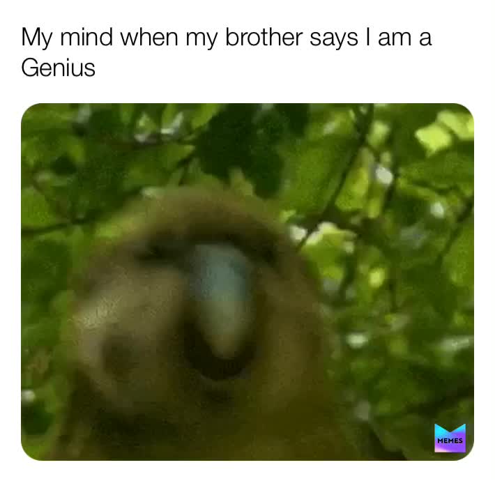 Post by @pugs_poop_g | Memes