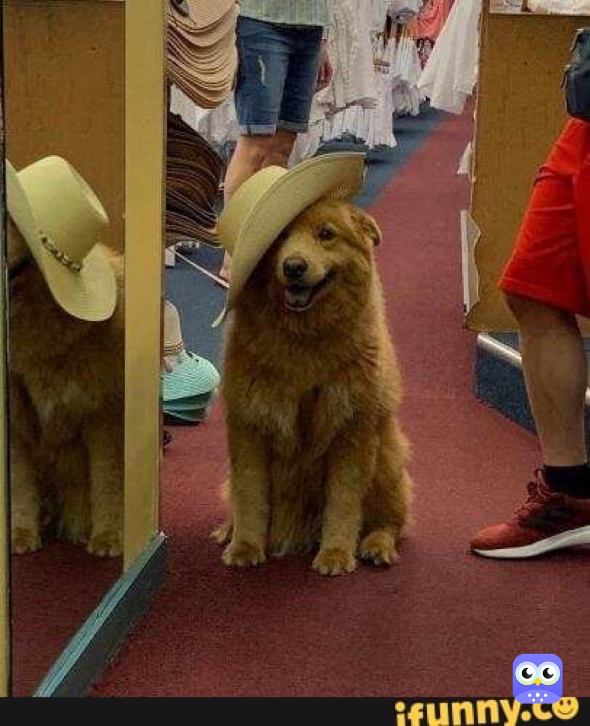 Post by @Comrade_John_Wick | Memes