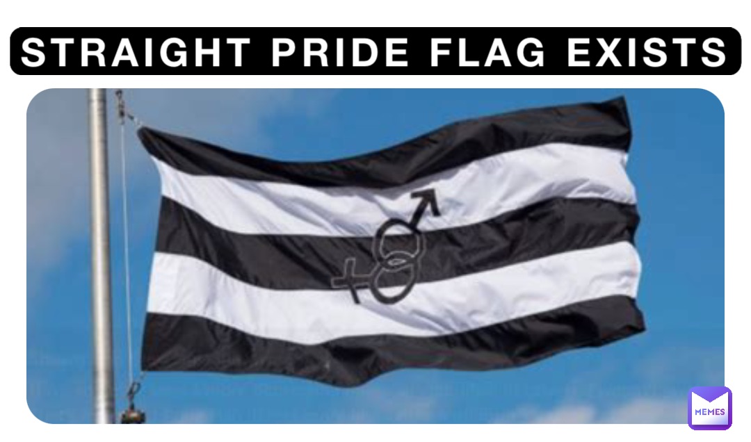 The 'Straight Pride' Flag Is Now A Twitter Meme Indy100, 41% OFF