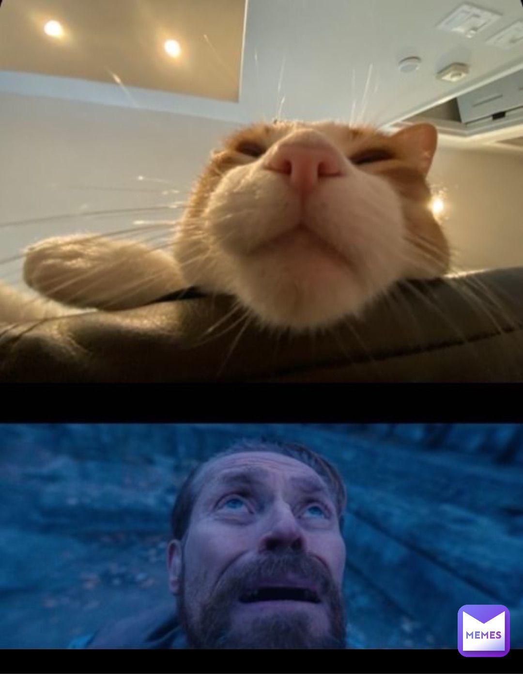 Compadre_John_Wick | Memes