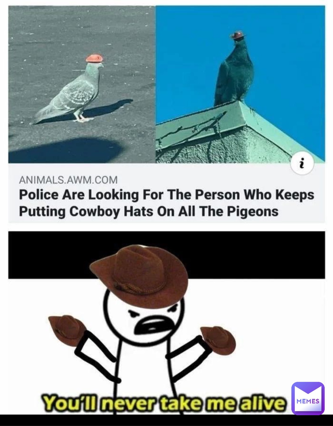 Comrade_John_Wick | Memes