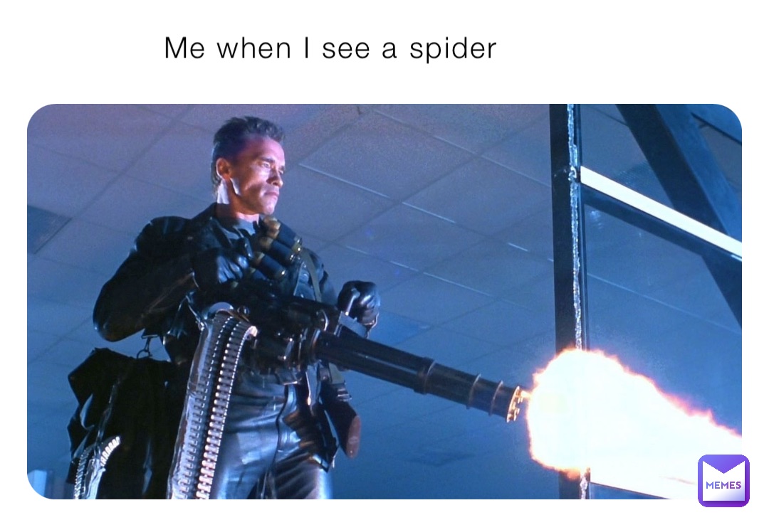 Me When I See A Spider Skyrisee Memes
