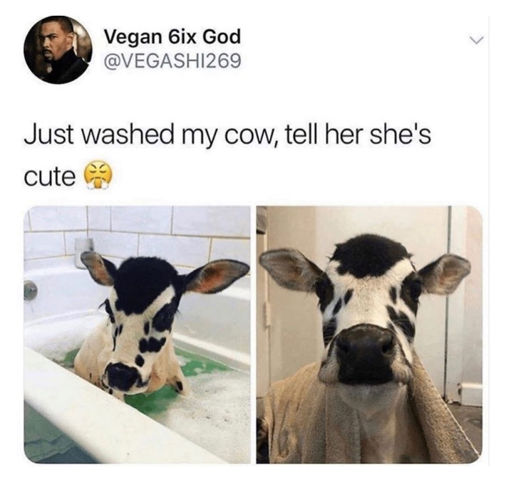 Post by @memes | Memes