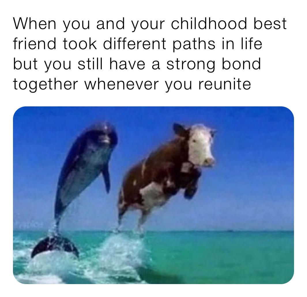 When you and your childhood best friend took different paths in life ...