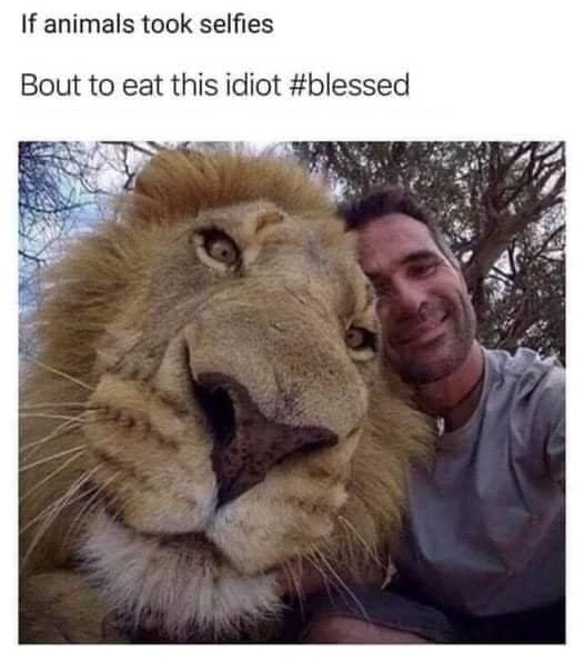 Post by @memes | Memes