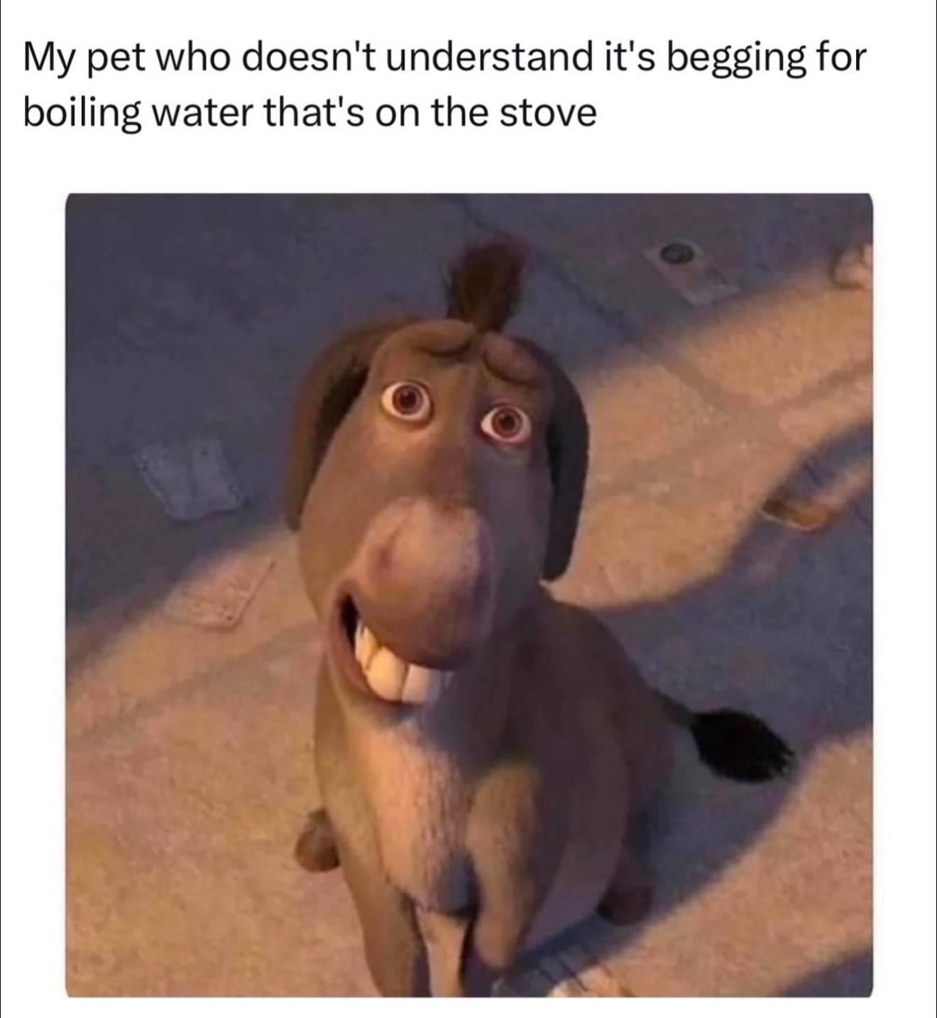 Post by @memes | Memes