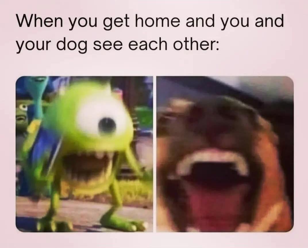 Post by @memes | Memes