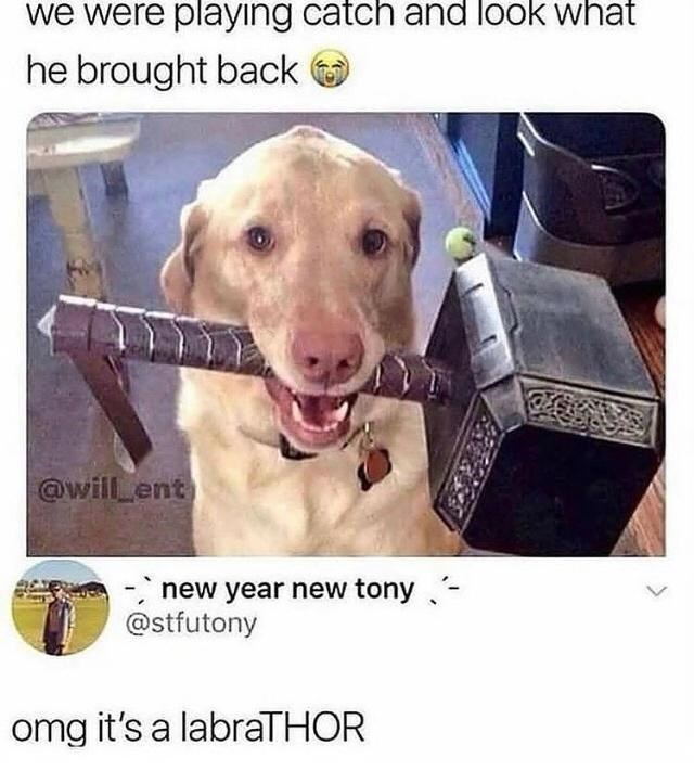 Post by @memes | Memes