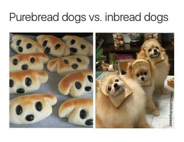 Post by @memes | Memes