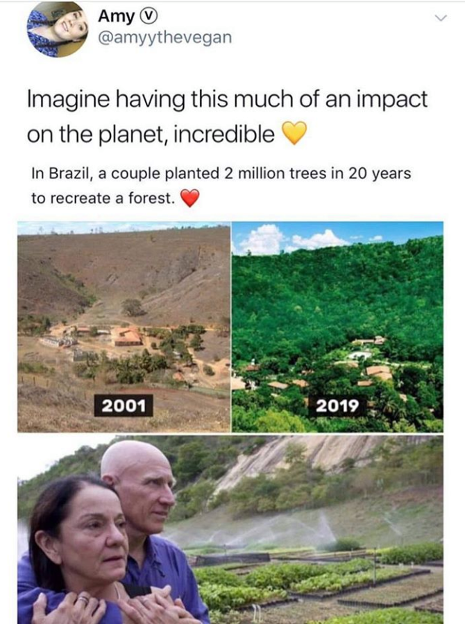 Post By memes Memes
