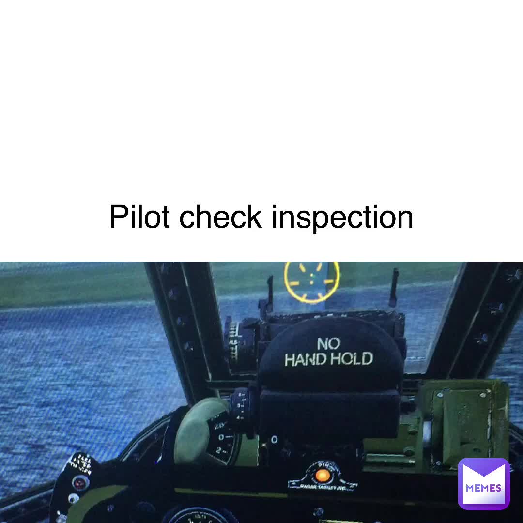 pilot check inspection | @Lazar_beam2.0 | Memes