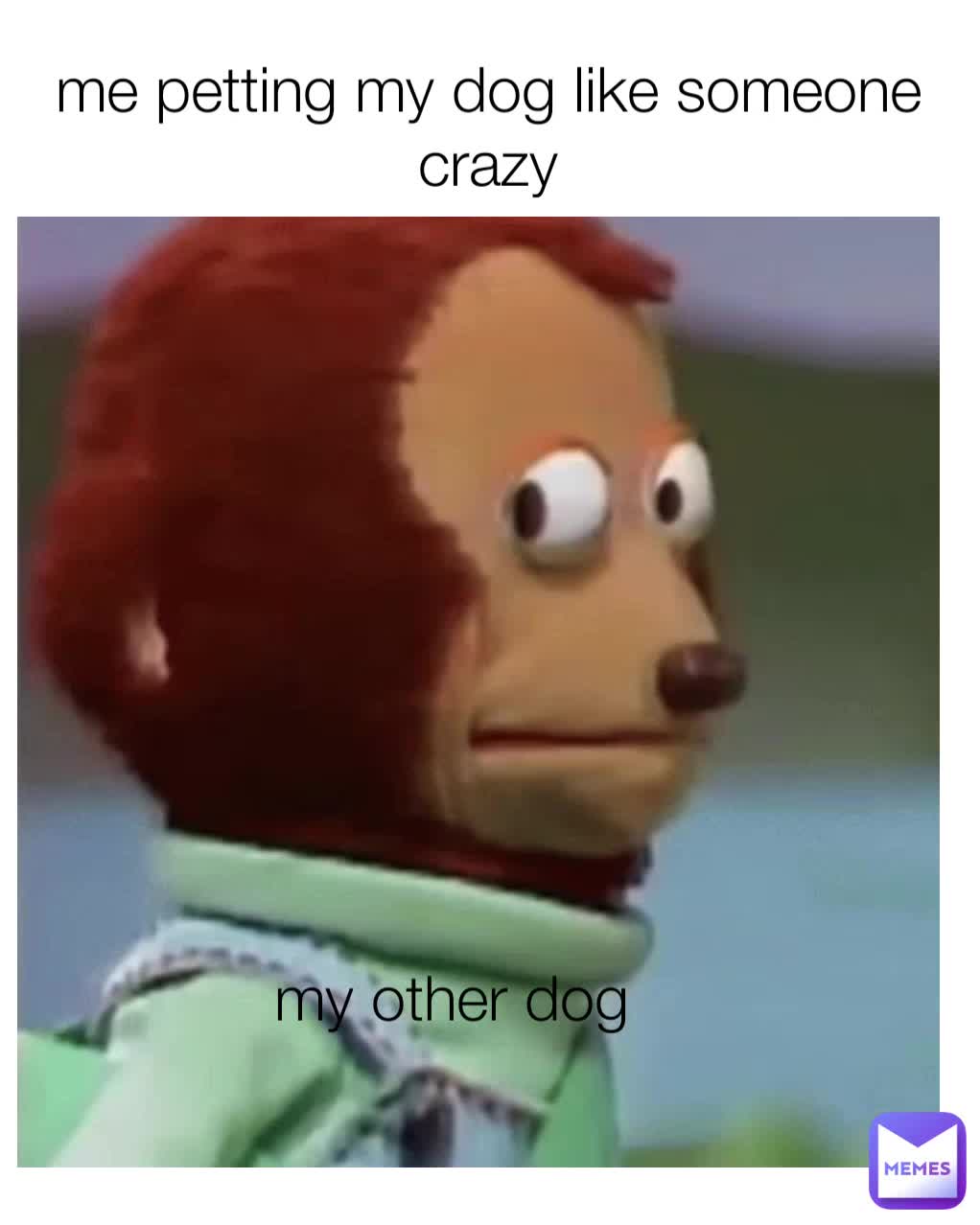 me petting my dog like someone crazy my other dog | @Branzeno | Memes