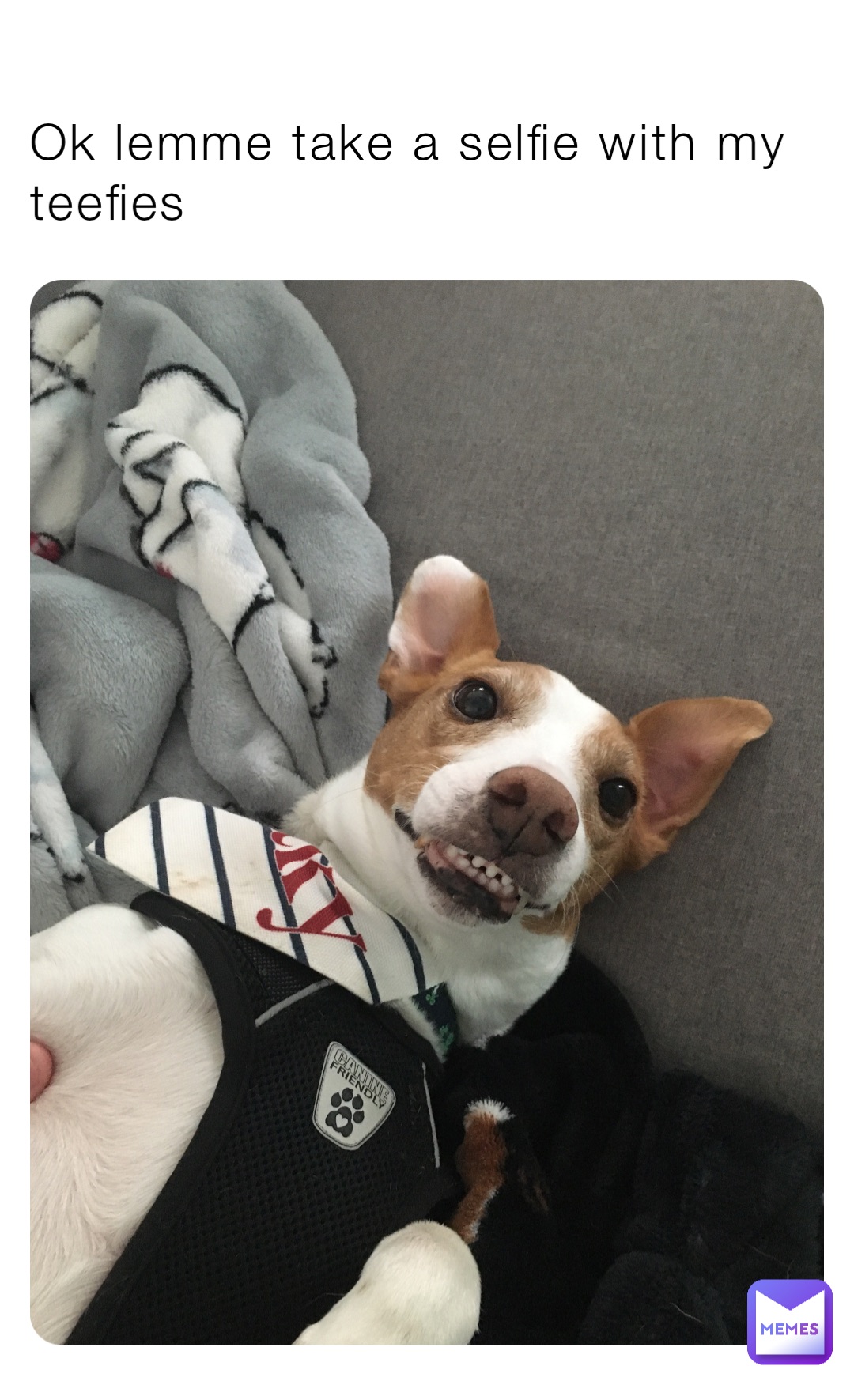 Ok lemme take a selfie with my teefies | @Foxxx | Memes