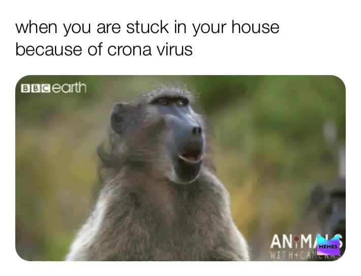 Post by @blaze_shorty | Memes