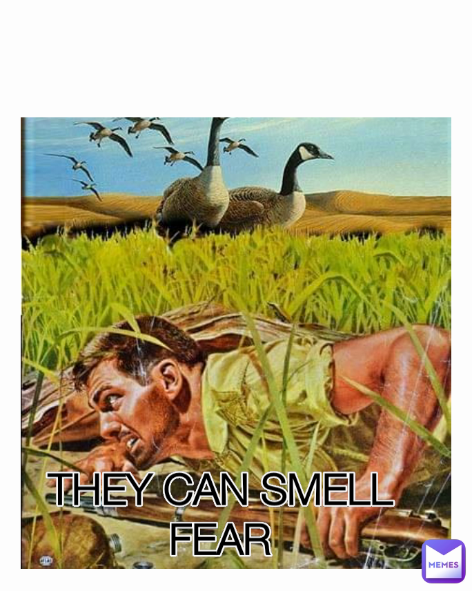 THEY CAN SMELL FEAR | @memerboy1624 | Memes